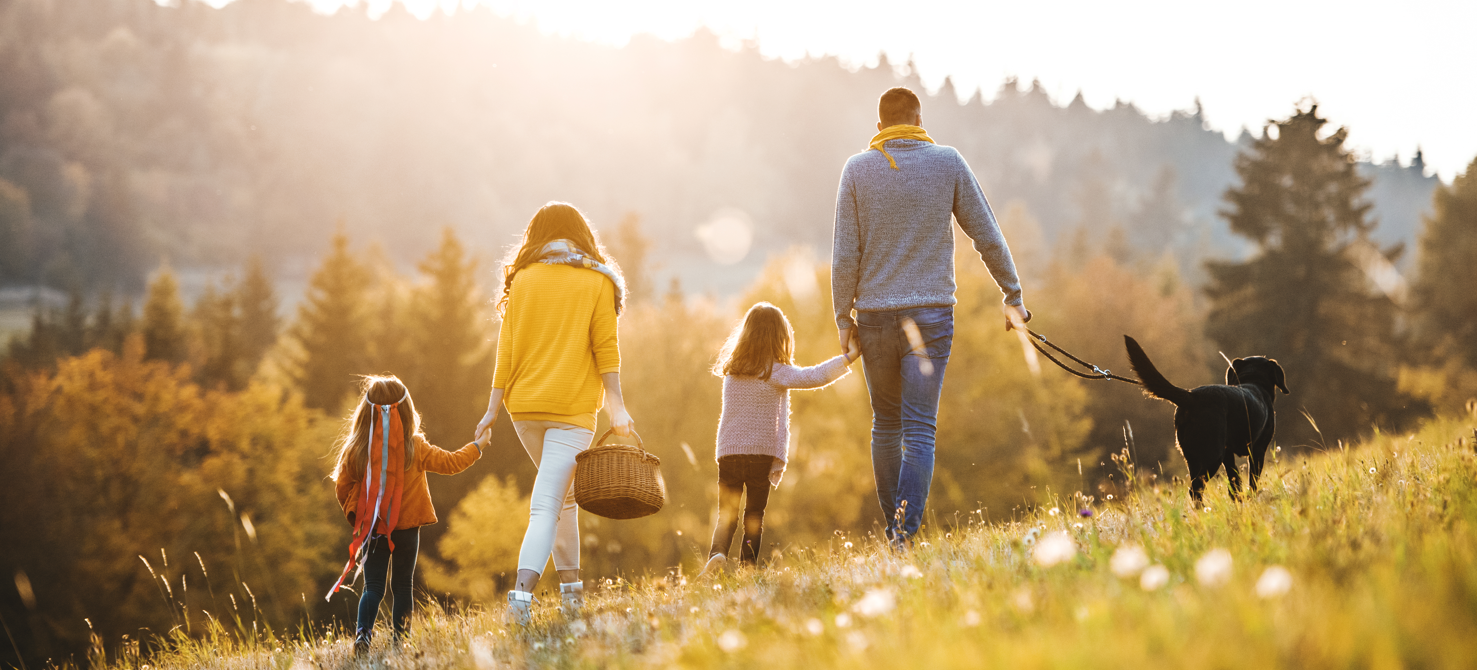 Getting Your Finances Right Before the End of the Year